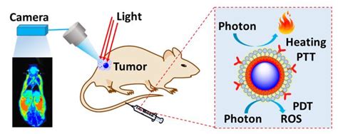 Functional Nanomaterial For Photo Based Theranostics Australian