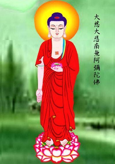 生肖屬豬屬豬人五行屬水命中水為財未來將迎來一段運勢高潮 每日頭條