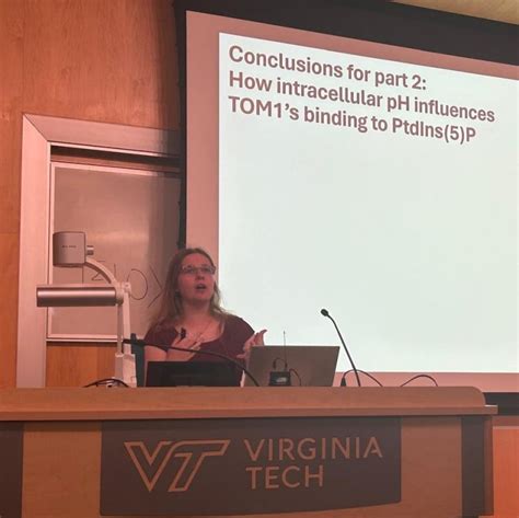 Summer Internships Lead To Research Wins Virginia Tech News