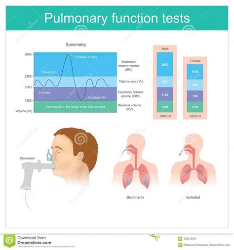Illustration About Pulmonary Function Tests Testing For Volume Of Air In The Lungs During