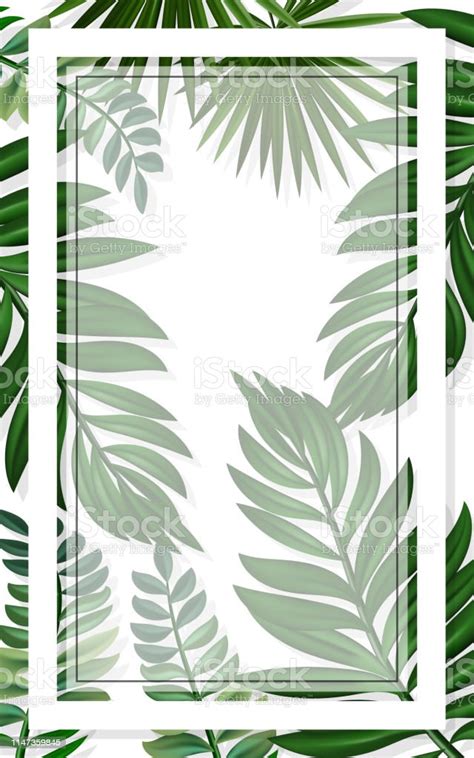 정글 식물 야자수 잎과 열 대 배경 벡터 텍스트에 대 한 공간을 가진 이국적인 프레임 배경입니다 Eps10 벡터 0명에 대한 스톡 벡터 아트 및 기타 이미지 Istock