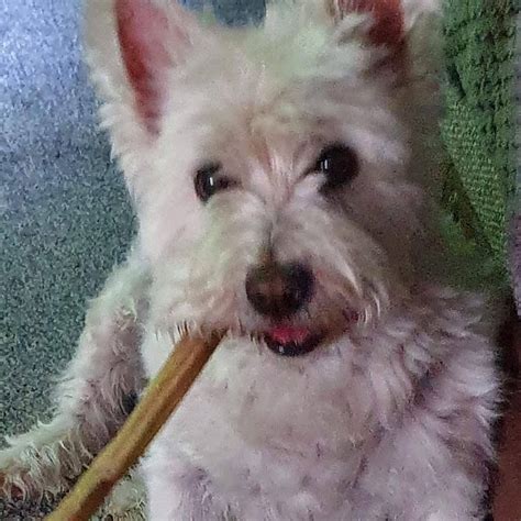 Darren Fuller Youtube