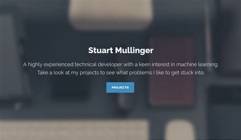 This Website Stuart Mullinger