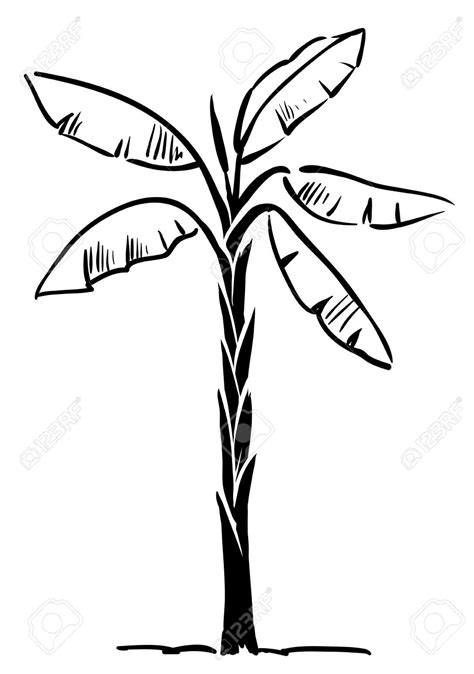 Tree Outline Drawing Free Download On ClipArtMag