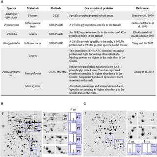 Characterization Of Differentially Abundant Sex Related Proteins In Download Scientific Diagram