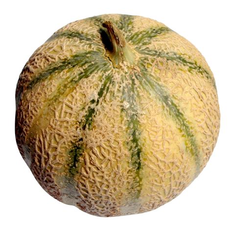 Melon Png