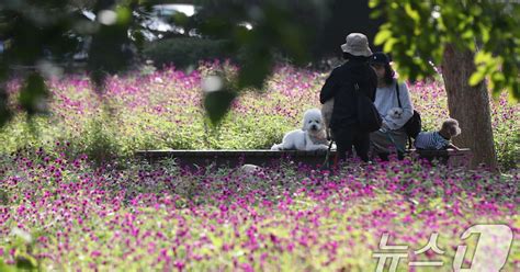 우산 뒤집히는 강풍 속 120㎜ 가을비시간당 30㎜ 폭우종합