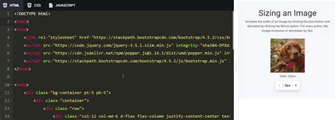 [video] Shyamala Ajay Kumar On Linkedin Day72 Javascript Ccbp Javascriptprogramming