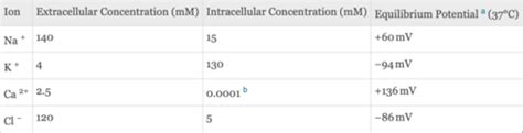 Neuronal Signaling Exam Flashcards Quizlet