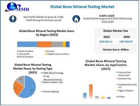 Bone Mineral Testing Market Global Industry Analysis And Forecast
