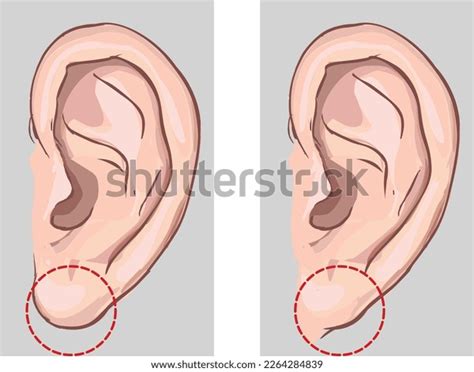 정약 7 694개가 넘는 로열티 프리 라이선스 대상 스톡 일러스트 및 그림 Shutterstock