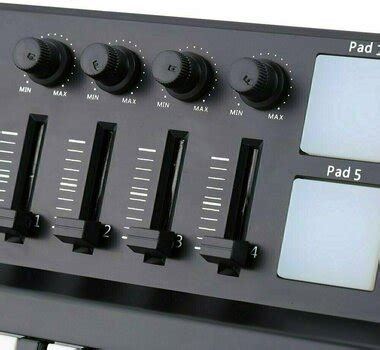 Worlde Panda Mini Muziker