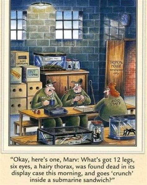 Latest Memes New Memes Memedroid