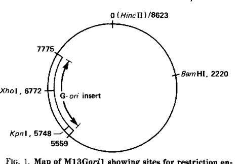Figure 1 From The Formation Of Paranemic And Plectonemic Joints Between