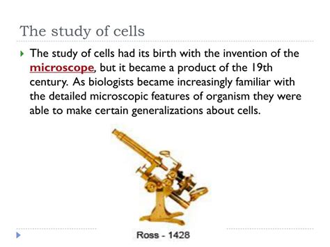 PPT Cell Biology Cell Structure And Function PowerPoint Presentation ID 2517014