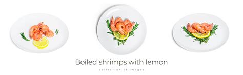 흰 배경에 고립된 검은 접시에 레몬과 로즈마리를 곁들인 삶은 새우 0명에 대한 스톡 사진 및 기타 이미지 0명 감귤류 과일 갑각류 Istock