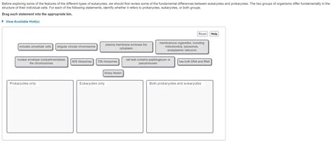 Solved Structure Of Their Individual Cells For Each Of The Chegg