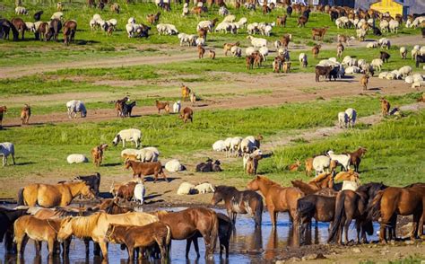 Мал аж ахуйн хууль хоорондын давхардал хийдэл зөрчлийг арилгах хуулийн төслүүдийг Улсын Их