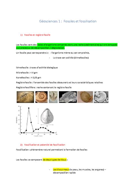 Fossiles Et Fossilisation Pdf Géosciences 1 Fossiles Et Fossilisation Fossiles Et Registre
