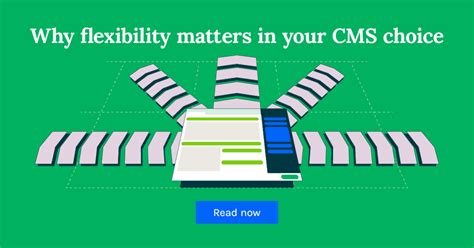 Why Flexibility Matters In Your CMS Choice Magnolia Headless CMS