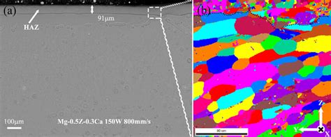 A SEM Secondary Electron Image And B EBSD Image Of The SLM Download Scientific Diagram