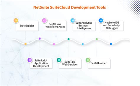 Netsuite Suitecloud Platform The Future Of Cloud Development Vnmt