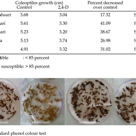 PDF Identification Of Rice Varieties Through Chemical Tests