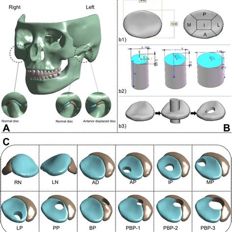 Configuration Of The Fem Simulations A The Assembled Fem Model Of The Download Scientific