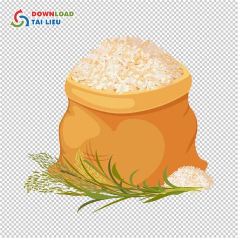 Tải Bông Lúa Vector Miễn Phí File Png Psd Ai