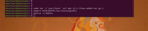 Cómo instalar GoLang lenguaje de programación Go en Linux redessy com
