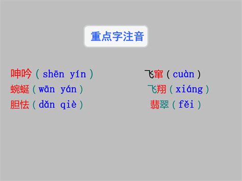 第4课海燕课件 共22张PPT 21世纪教育网