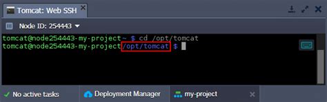 Ssh Access To Container Manage Your Server Remotely Docktera