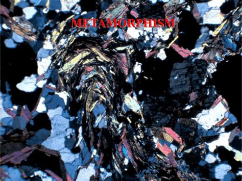 Types Of Metamorphism