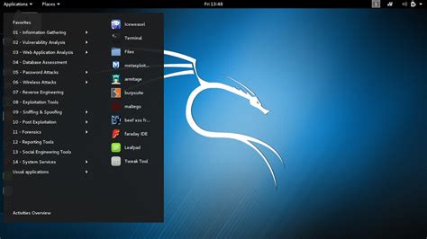 Обзор Kali Linux для начинающих назначение ОС преимущества и способы установки