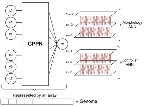 Genome Representation On The Left The Cppn Is Represented By An Array