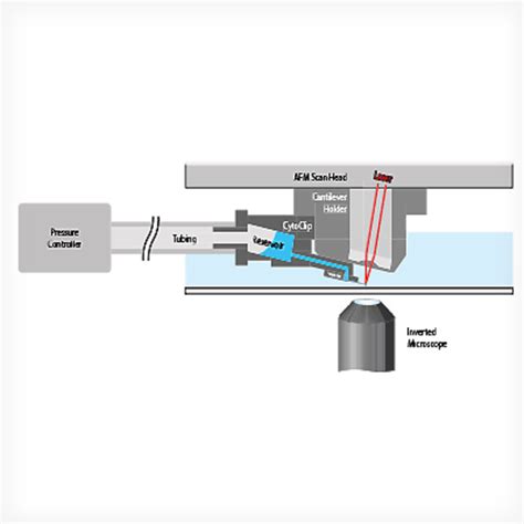 Atomic Force Microscopes Afm Quantum Design