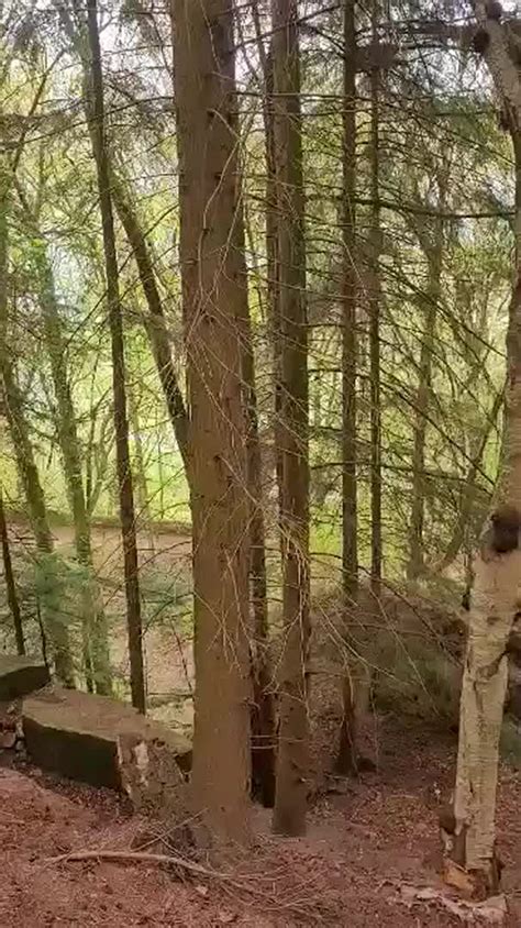 Im Always Ready To Suck Cock Scrolller