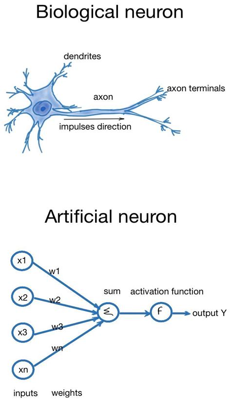 Artificial Neural Networks In 2025 Artificial Neural Network Data