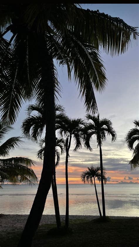 Kukui Ola Homeless Village Artofit