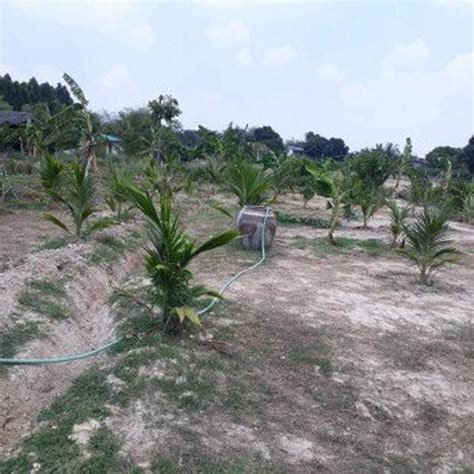 ขายที่ดินถมแล้วราคาถูก ใกล้ถนนสัตหีบ พนมสารคาม เส้น 331 ต นาเริก อ พนัสนิคม จ ชลบุรี เนื้อที่