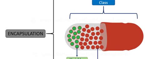 Apa Itu Encapsulation Konsep Oop Untuk Pemula