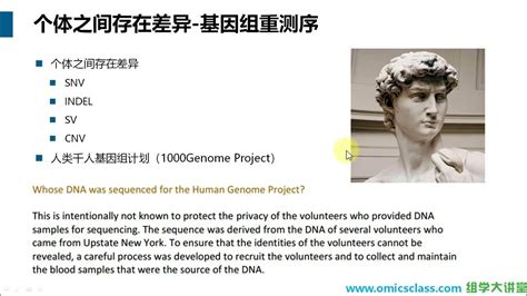 基因组重测序数据分析实操课程 00201基因组重测序数据分析介绍 Youtube