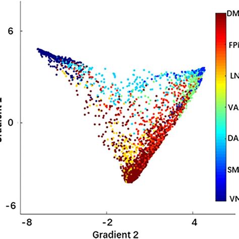 Pdf Evaluate The Efficacy And Reliability Of Functional Gradients In Within‐subject Designs