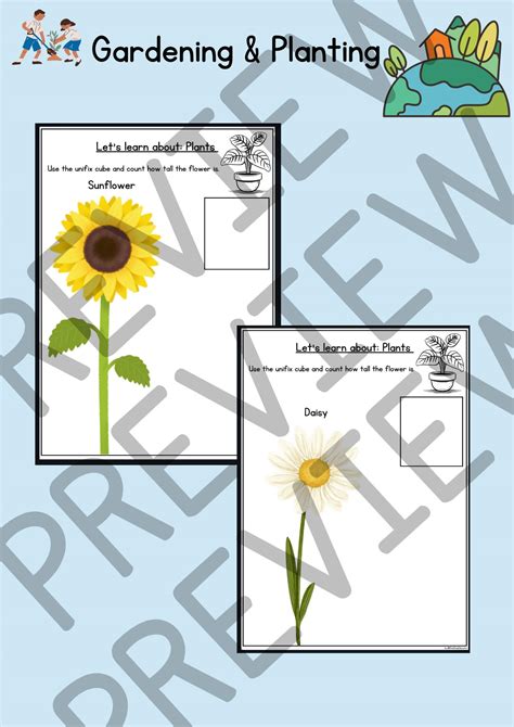 Numeracy Counting Template Flower Counting Plant Counting Numeracy Counting Template Flower Counting Plant Counting