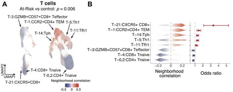Deep Immunophenotyping Reveals Circulating Activated Lymphocytes In Individuals At Risk For