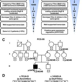 Variant Filtering Schemes Used For Variant Prioritization Of Exome Data Download Scientific