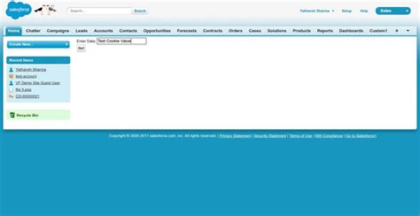 How To Use The Cookie Class In Apex To Pass Values Between Pages