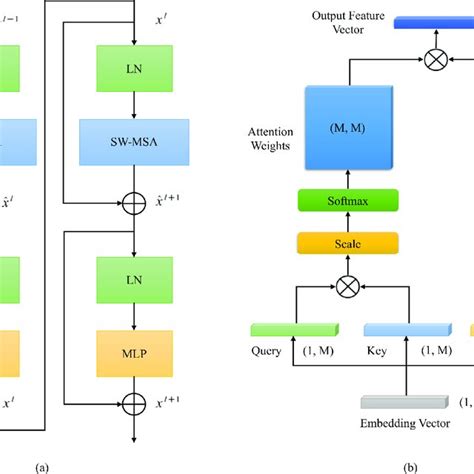 Patch Block And Patch Merging A Patch Block Splits The Strain Field Download Scientific