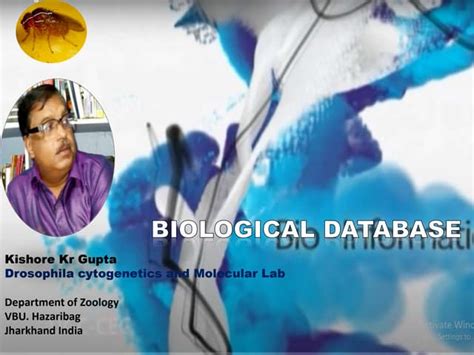 Biological Data Base Ppt